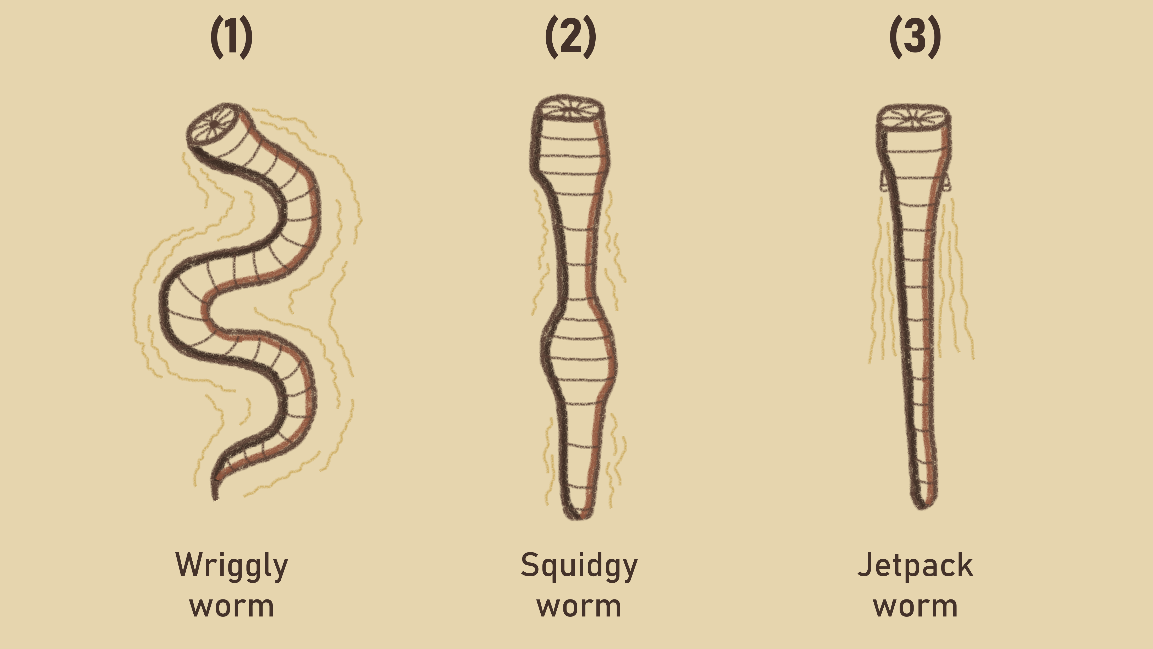 Clayton Calculates: Sandworm locomotion – C. W. Clayton